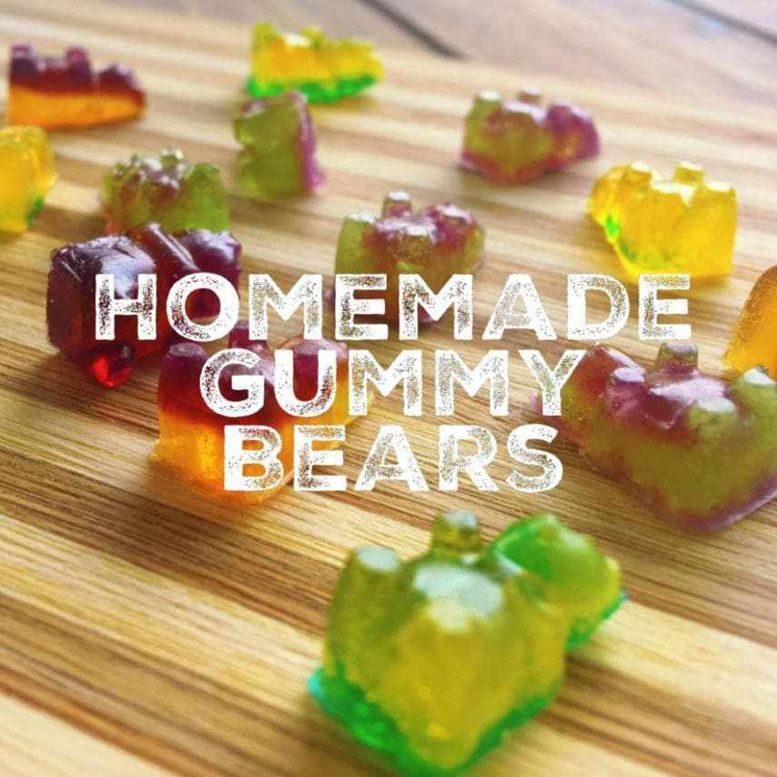 Homemade Gummy Bear Making Kit Silicone Mold and Dropper - Purple ...
